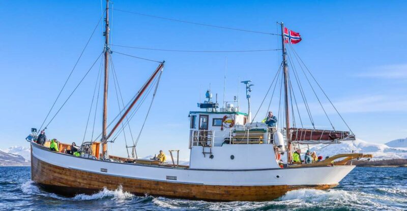 Tromsø: Fjord History Cruise with Snack and Drinks - Key Points