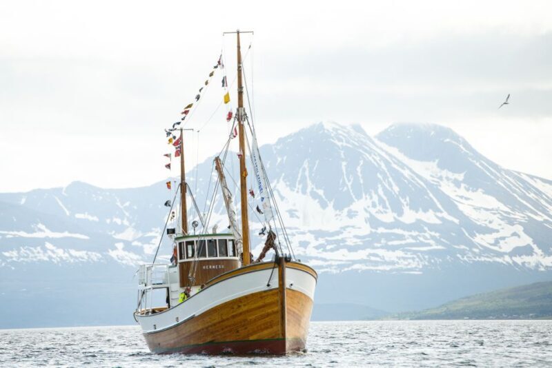 Tromsø: Fjord History Cruise with Snack and Drinks - Practical Details: What You Need to Know