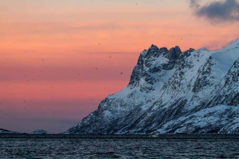 Tromsø: Fjord tour in a minibus to Sommarøy with fishsoup - Transportation and Group Size
