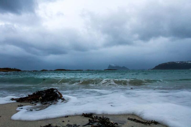 Tromsø: Fjord tour in a minibus to Sommarøy with fishsoup - Who Is This Tour Perfect For?