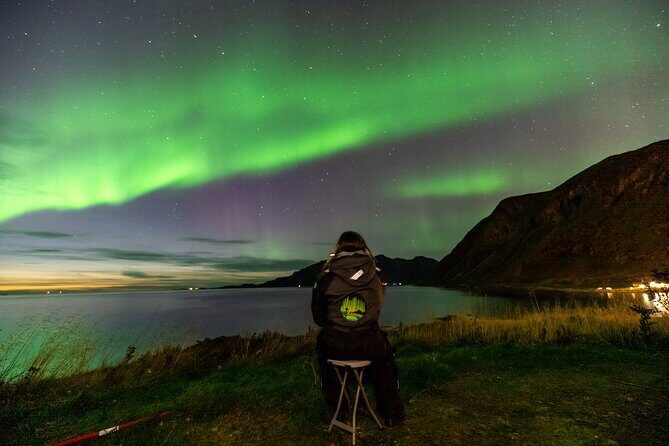 Tromsø Fjordland Aurora Chase Northern Lights by the Arctic Sea - Key Points