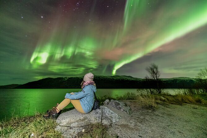 Tromsø Fjordland Aurora Chase Northern Lights by the Arctic Sea - References