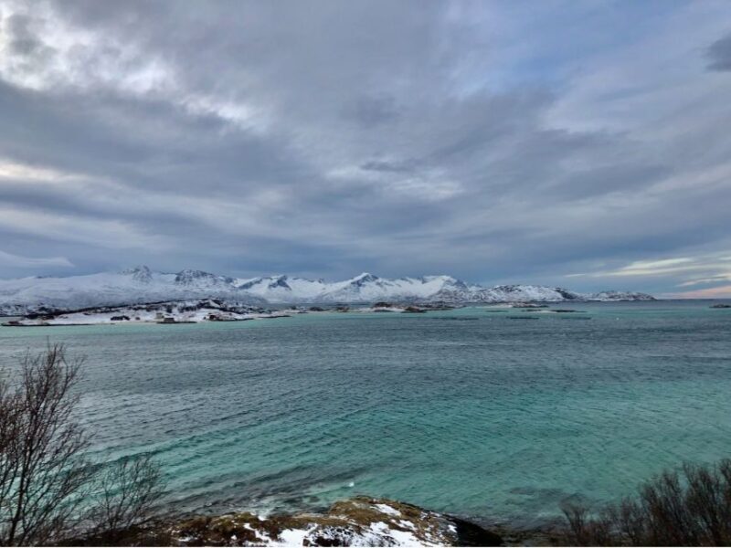 Tromsø: Fjords and Sommarøy Islands Tour with Salmon Picnic - Key Points
