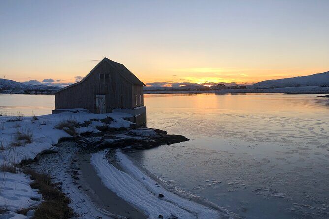 Tromsø: Fjords & Beaches Tour with campfire and Arctic food - The Campfire and Arctic Food