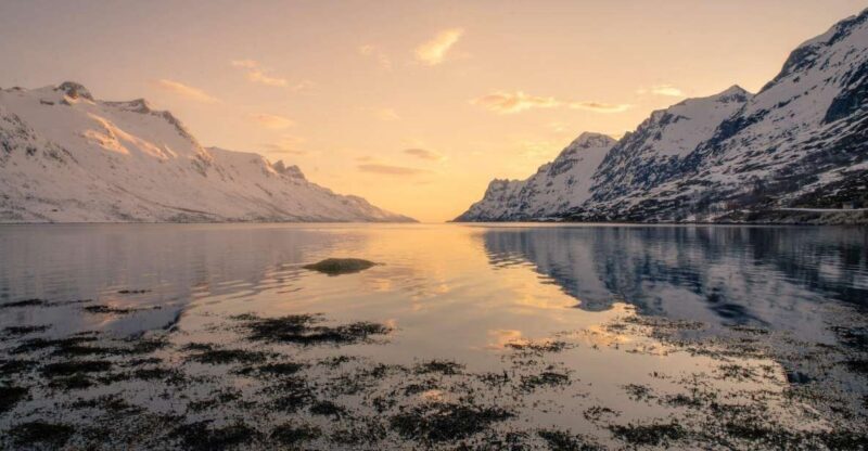 Tromsø: Fjords Tour - Value and Price Analysis