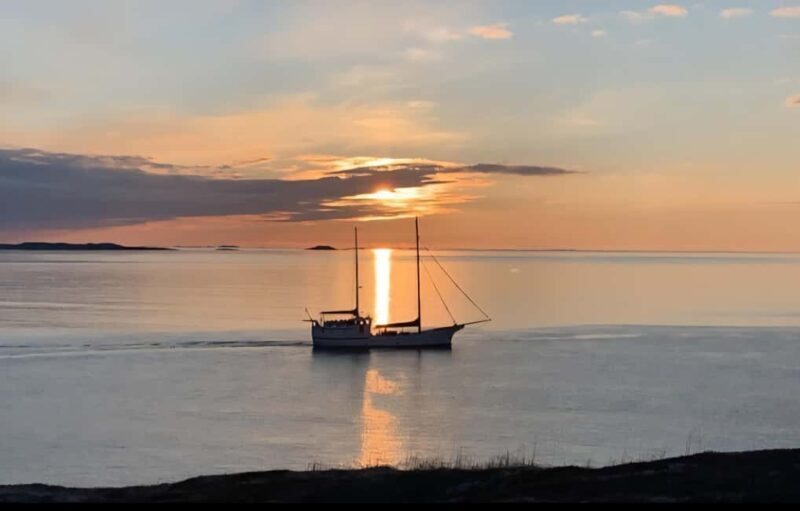 Tromsø: Guided Arctic Nature & Fjord Small Group Tour - An In-Depth Look at the Tour Experience