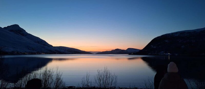 Tromsø: Guided Arctic Nature & Fjord Small Group Tour - Who Should Book This Tour?