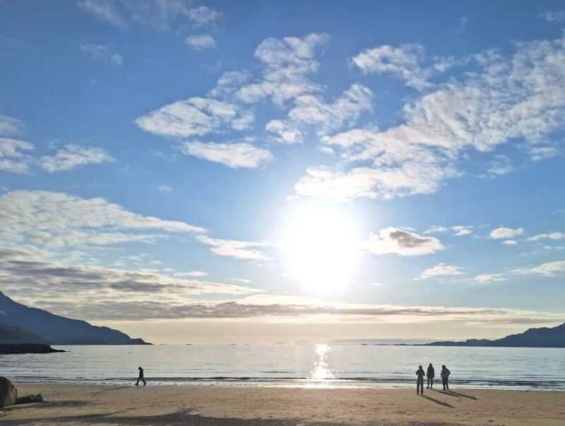 Tromsø: Guided Arctic Nature & Fjord Small Group Tour - Final Thoughts: Is It Worth It?