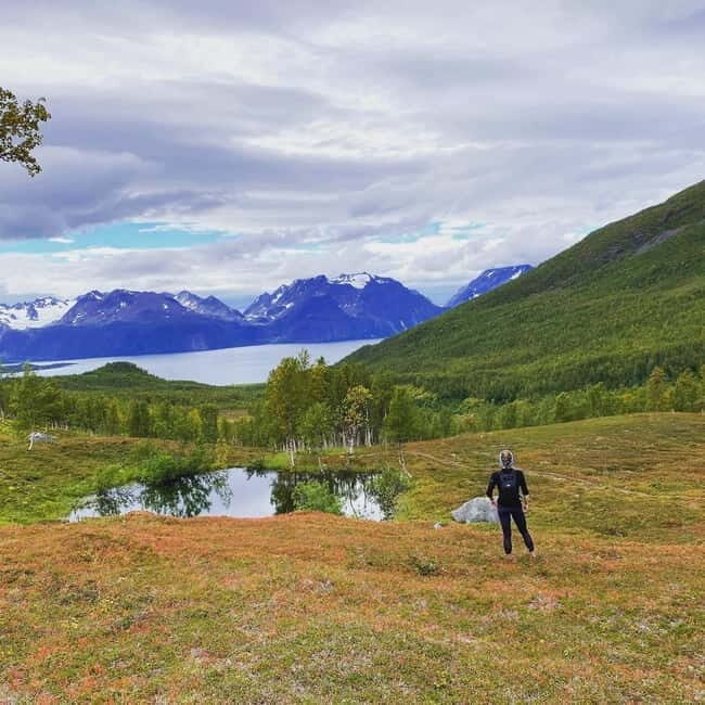 Tromsø: Guided Hiking Tour with Roundtrip Transfers - An Introduction to Tromsø’s Mountain Adventures