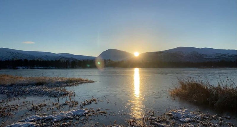 Tromsø: Guided Hiking Tour with Roundtrip Transfers - Authentic Experiences and Real Insights from Reviews