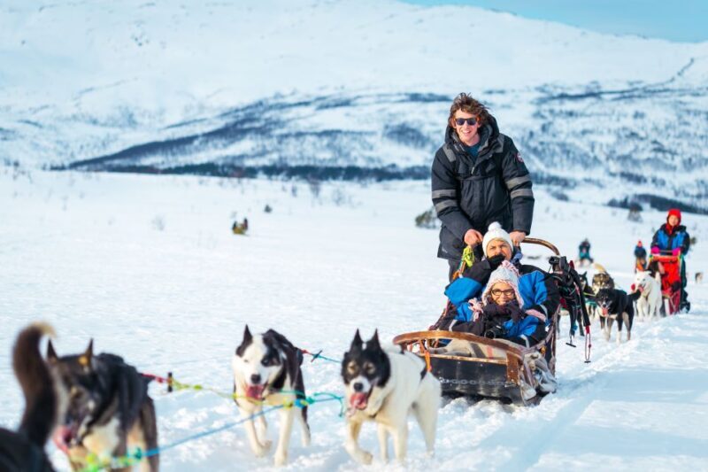 Tromsø: Guided Husky Sledding with Traditional Lunch - Key Points