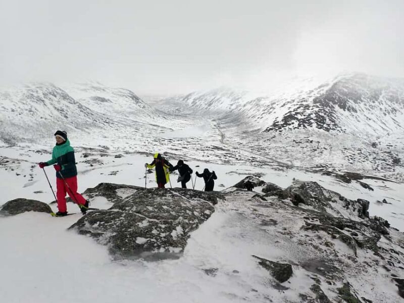 Tromsø: Guided snowshoe hill hike - Key Points