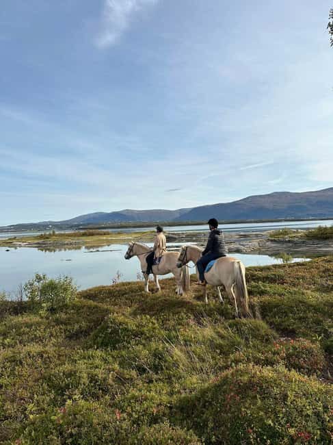 Tromsø: Horseback Riding Tour - Key Points  