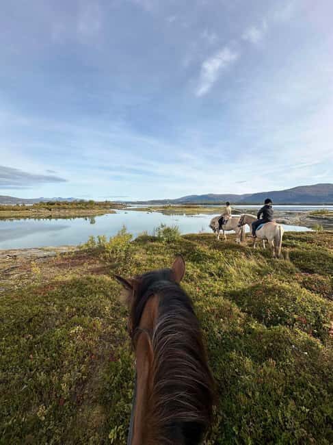 Tromsø: Horseback Riding Tour - An In-Depth Look at the Tromsø Horseback Riding Experience