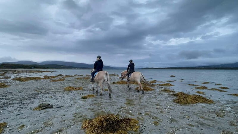 Tromsø: Horseback Riding Tour - FAQs