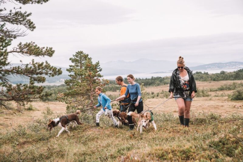 Tromsø: Husky Hike and Puppy Visit with Traditional Lunch - FAQs