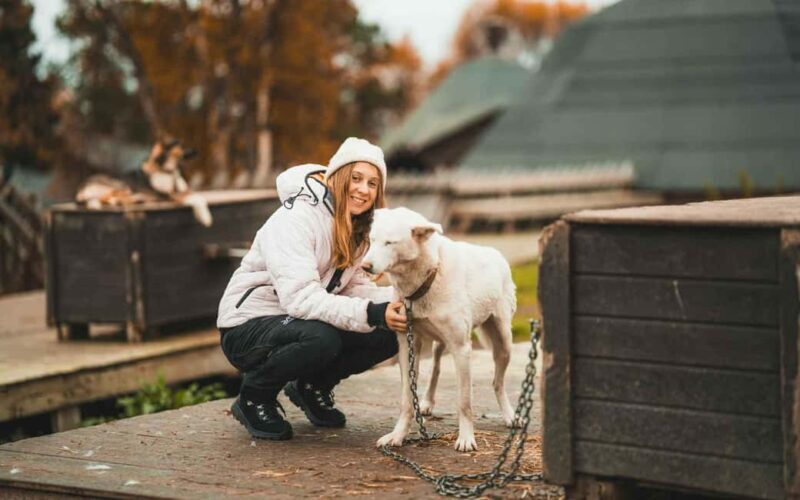 Tromsø: Husky Meet and Greet with Homemade Chocolate Cake - Who Will Love This Tour?