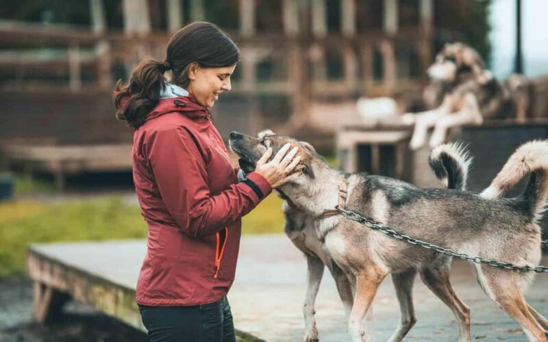 Tromsø: Husky Meet and Greet with Homemade Chocolate Cake - Frequently Asked Questions
