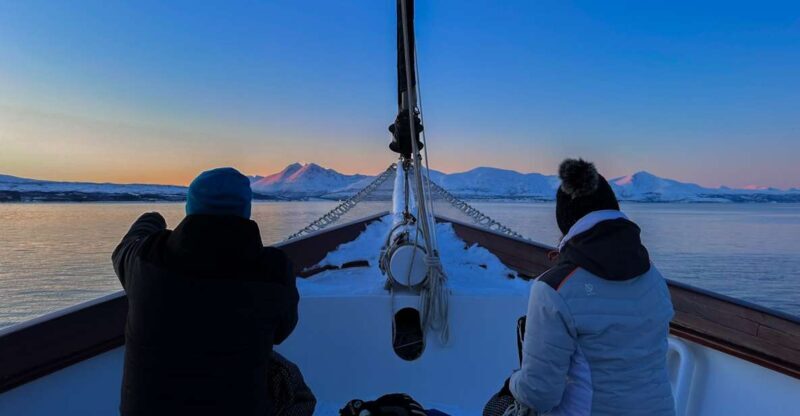 Tromsø: Luxury Polar Fjord Cruise w/ Hot Tub & Polar Plunge - An Overview of the Experience