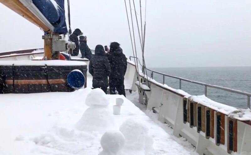 Tromsø: Luxury Polar Fjord Cruise w/ Hot Tub & Polar Plunge - Wildlife and Scenic Highlights