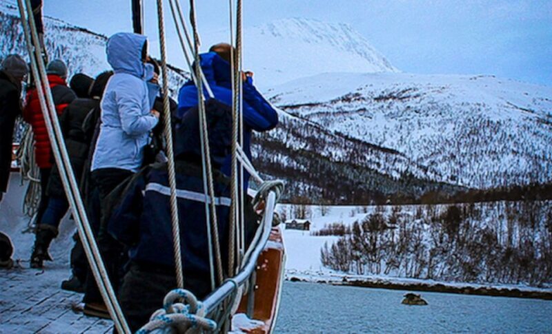 Tromsø: Luxury Polar Fjord Cruise w/ Hot Tub & Polar Plunge - What to Expect on the Itinerary
