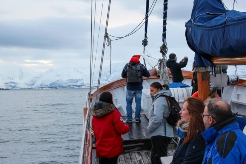 Tromsø: Luxury Polar Fjord Cruise w/ Hot Tub & Polar Plunge - Practical Details and Tips