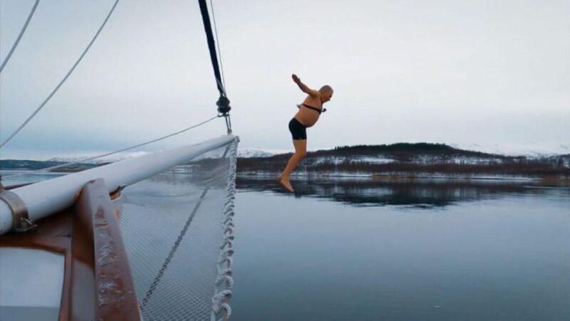 Tromsø: Luxury Polar Fjord Cruise w/ Hot Tub & Polar Plunge - Who Would Love This Tour?