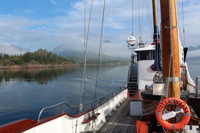 Tromsø Luxury Summer Fjord Cruise with Lunch - Practical Considerations