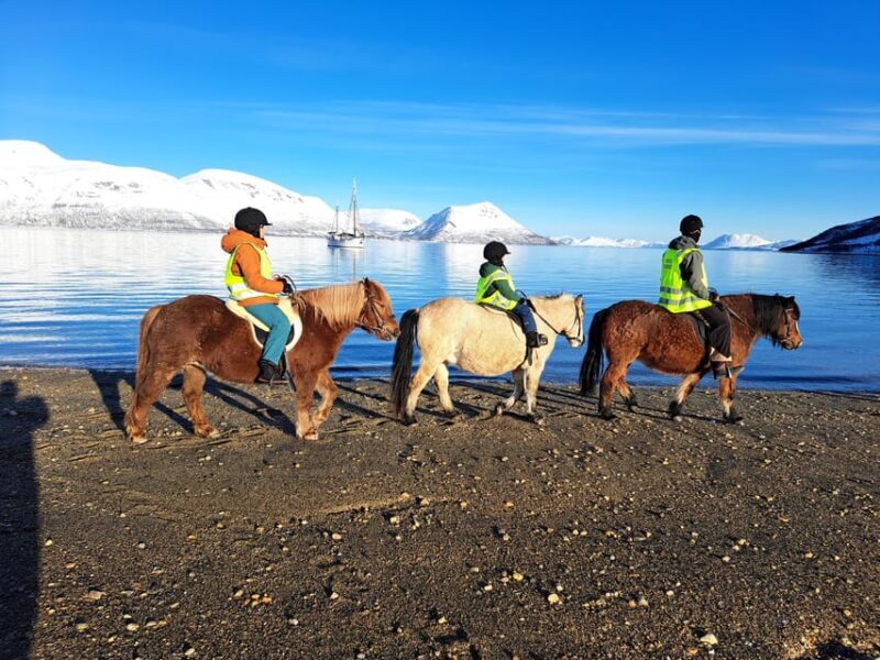 Tromsø: Lyngen Horse Winter Riding Experience - Meeting the Horses and Preparing for the Ride