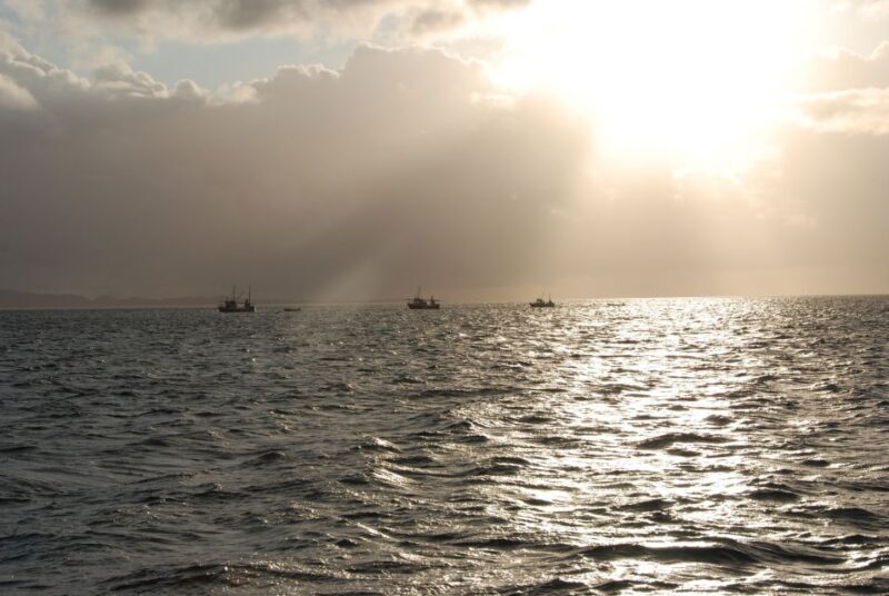 Tromsø: Midnight Sun Cruise in a Luxury Catamaran - Assessing the Value