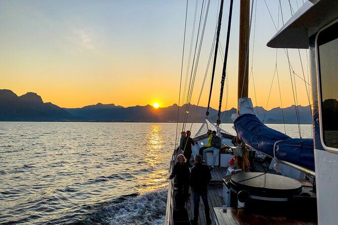 Tromsø Midnight Sun Evening Cruise with Hot Tub and Polar Plunge - Key Points