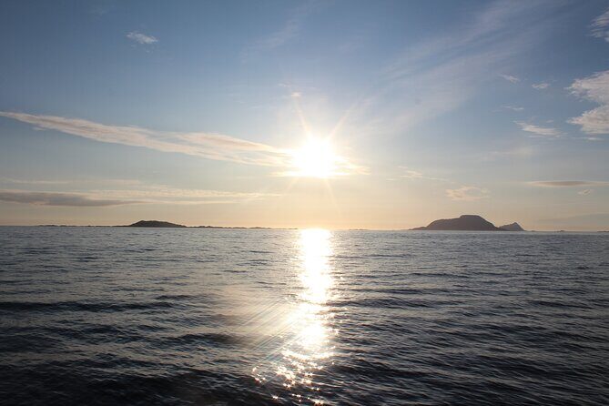 Tromsø Midnight Sun Evening Cruise with Hot Tub and Polar Plunge - Authentic Experiences from Reviewers