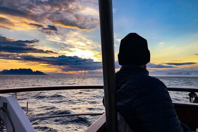 Tromsø Midnight Sun Evening Cruise with Hot Tub and Polar Plunge - The Sum Up