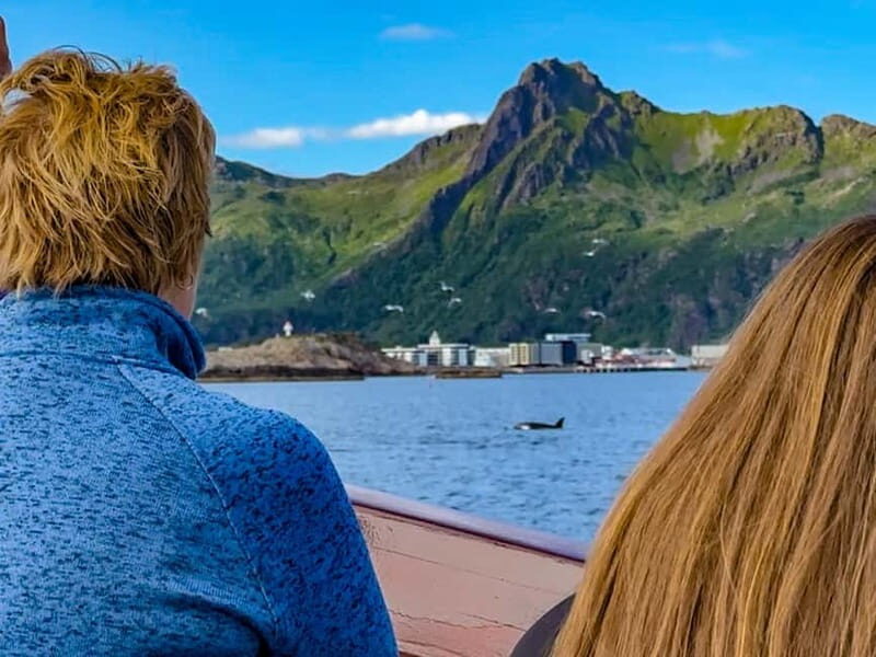 Tromsø: Midnight Sun Evening Cruise with Hot Tub - FAQ