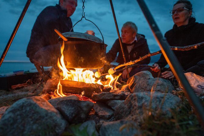 Tromsø: Midnight Sun with Campfire with Wandering Owl - The Experience: Pros and Cons