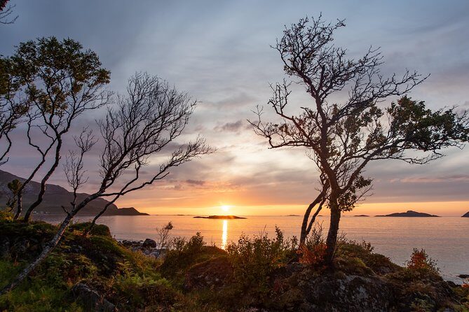 Tromsø: Midnight Sun with Campfire with Wandering Owl - Final Thoughts