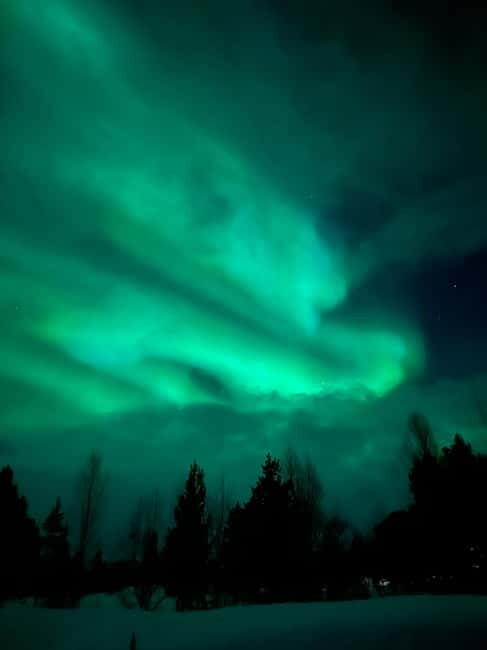 Tromsø: Northern Lights and a Starlit Adventure Tour - An Overview of the Experience