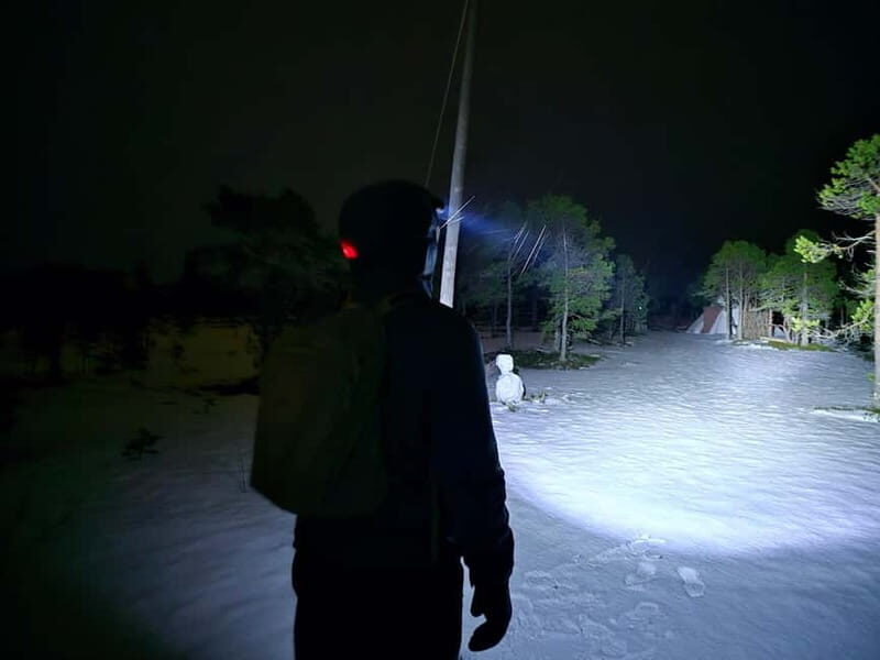 Tromsø: Northern Lights and a Starlit Adventure Tour - The Sum Up: Who Is This Tour Best For?