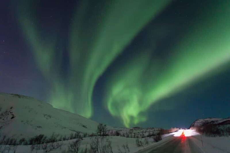 Tromsø: Northern Lights Bus Tour  Chase the Aurora Borealis - Key Points