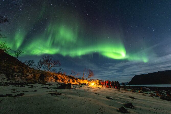 Tromsø: Northern Lights by Minibus - Free Photos and Warm Dinner - Key Points