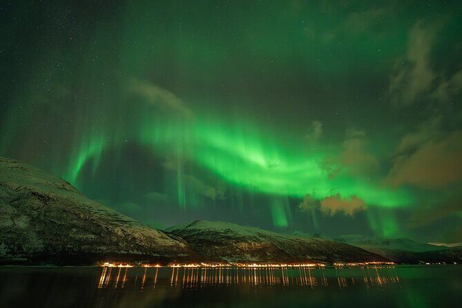 Tromsø: Northern Lights by Minibus - Free Photos and Warm Dinner - Who Is This Tour Best For?