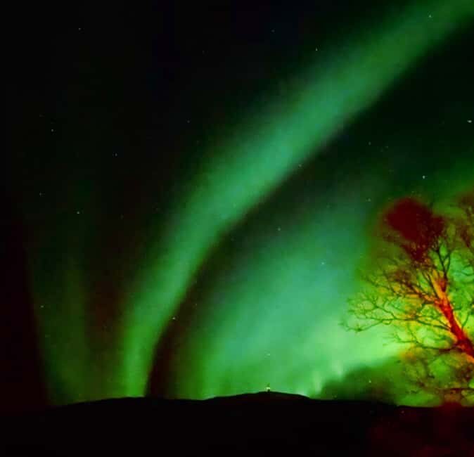 Tromsø: Northern Lights Chase  Small Group Experience - References