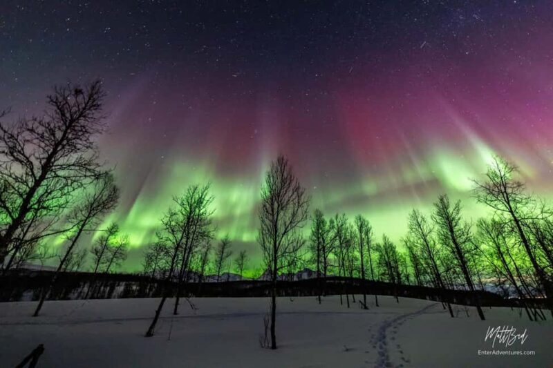 Tromsø: Northern Lights Chase with Expert Guides & Photos - FAQs