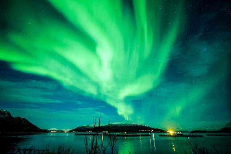 Tromsø: Northern Lights Chase with Photos and Bodysuits - Reviews and Real Guest Experiences