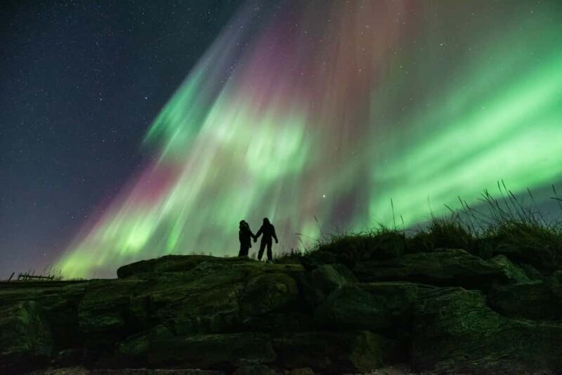 Tromsø: Northern Lights Chase with Photos and Guide - Review Highlights from Past Travelers