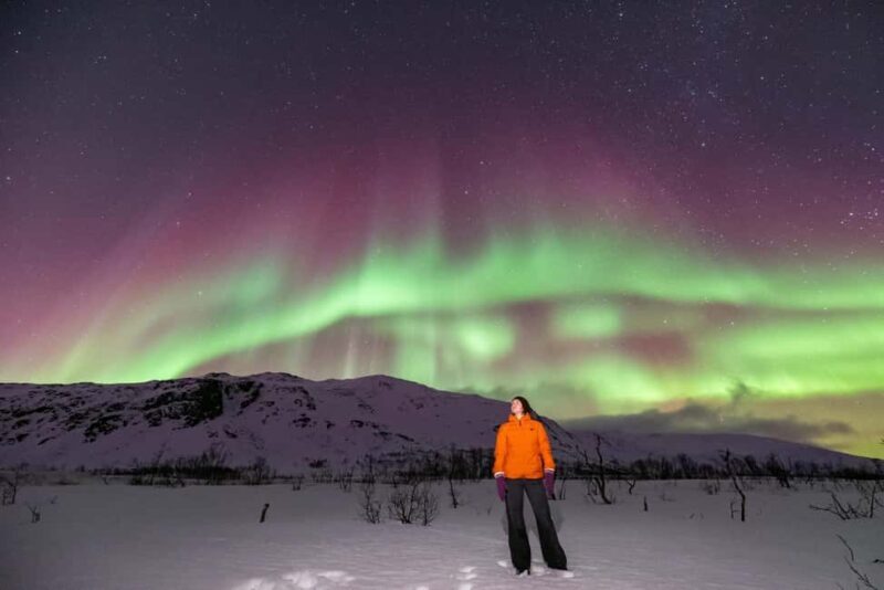 Tromsø: Northern Lights Chase with Photos and Guide - Final Thoughts