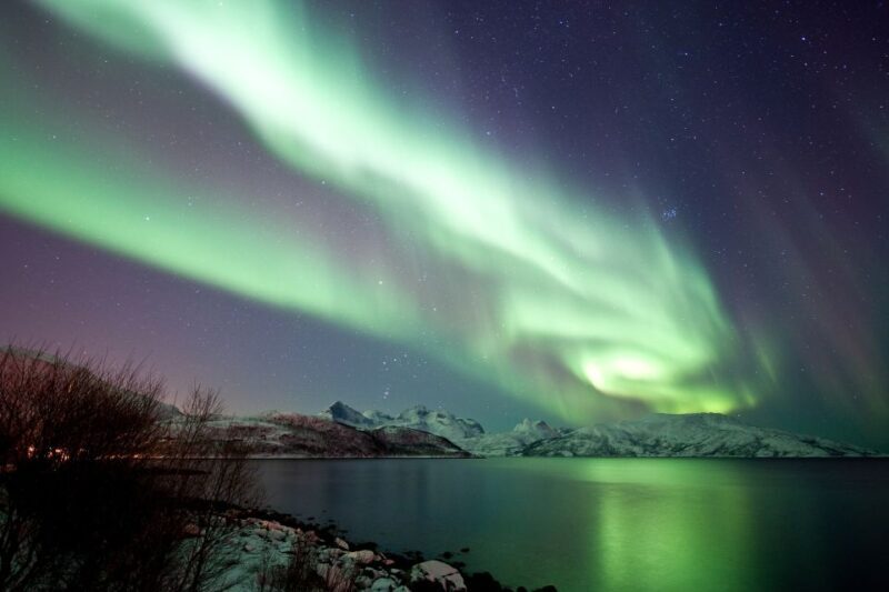 Tromsø: Northern Lights Cruise with 2nd Chance Guarantee - The Experience at a Glance