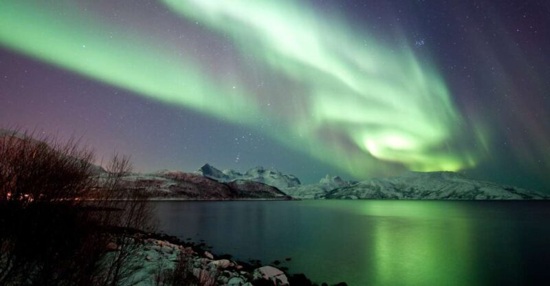 Tromsø: Northern Lights Cruise with 2nd Chance Guarantee - The Value of the Tour