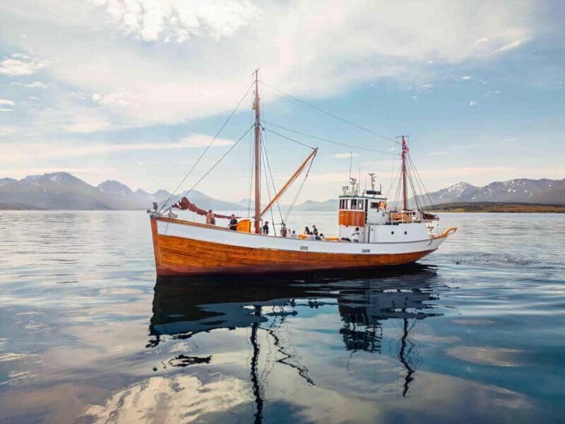 Tromsø: Northern Lights Dinner Cruise - Key Points