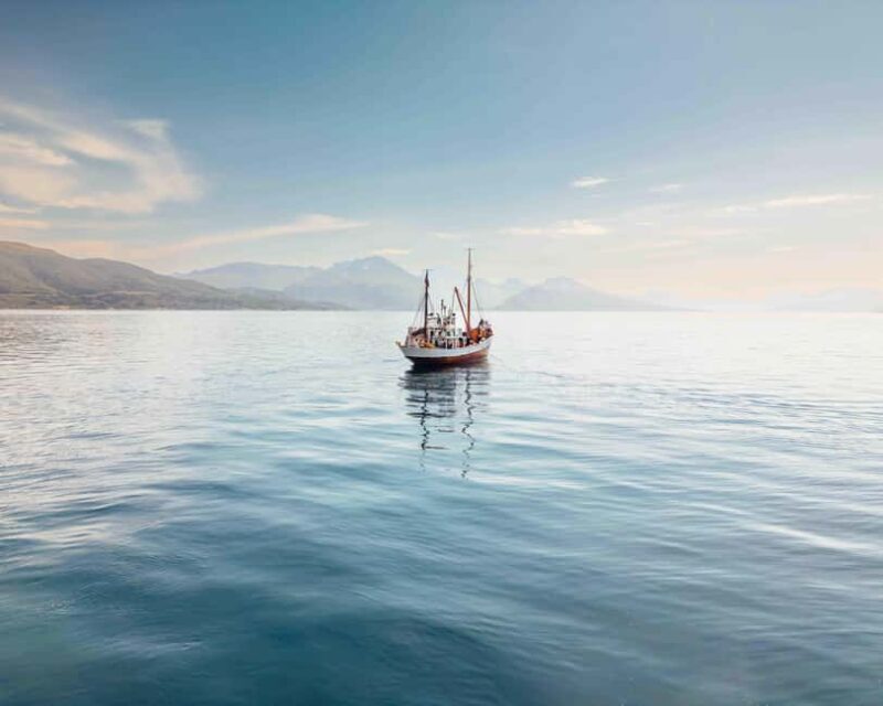 Tromsø: Northern Lights Dinner Cruise - Final Thoughts